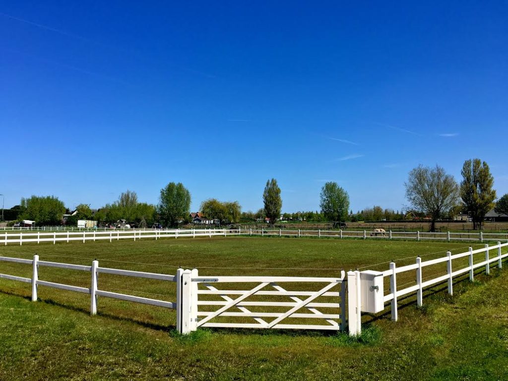 Our stables and facilities - Dressage Horses International