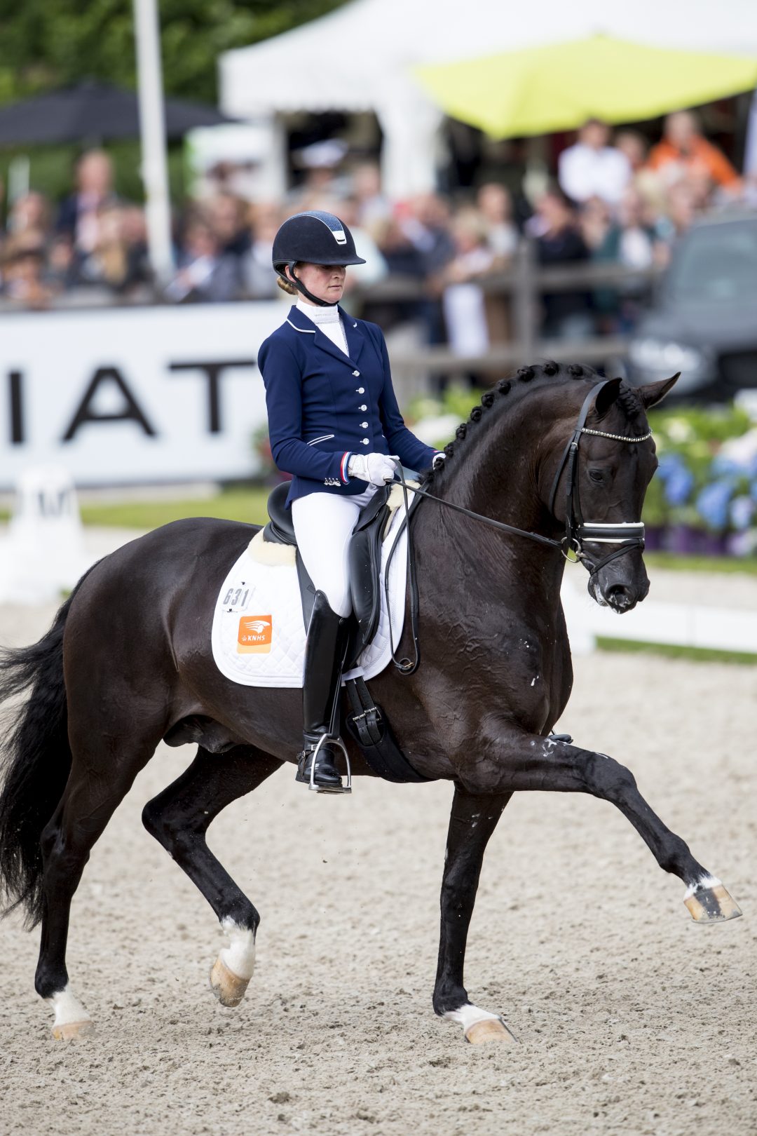 FOUR LEGENDS - our new breeding WORLDCLASS dressage stallion - Dressage ...