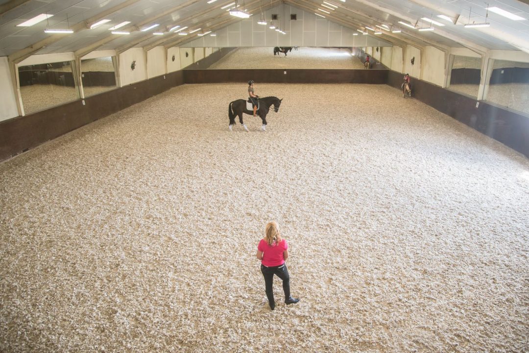 Our stables and facilities - Dressage Horses International
