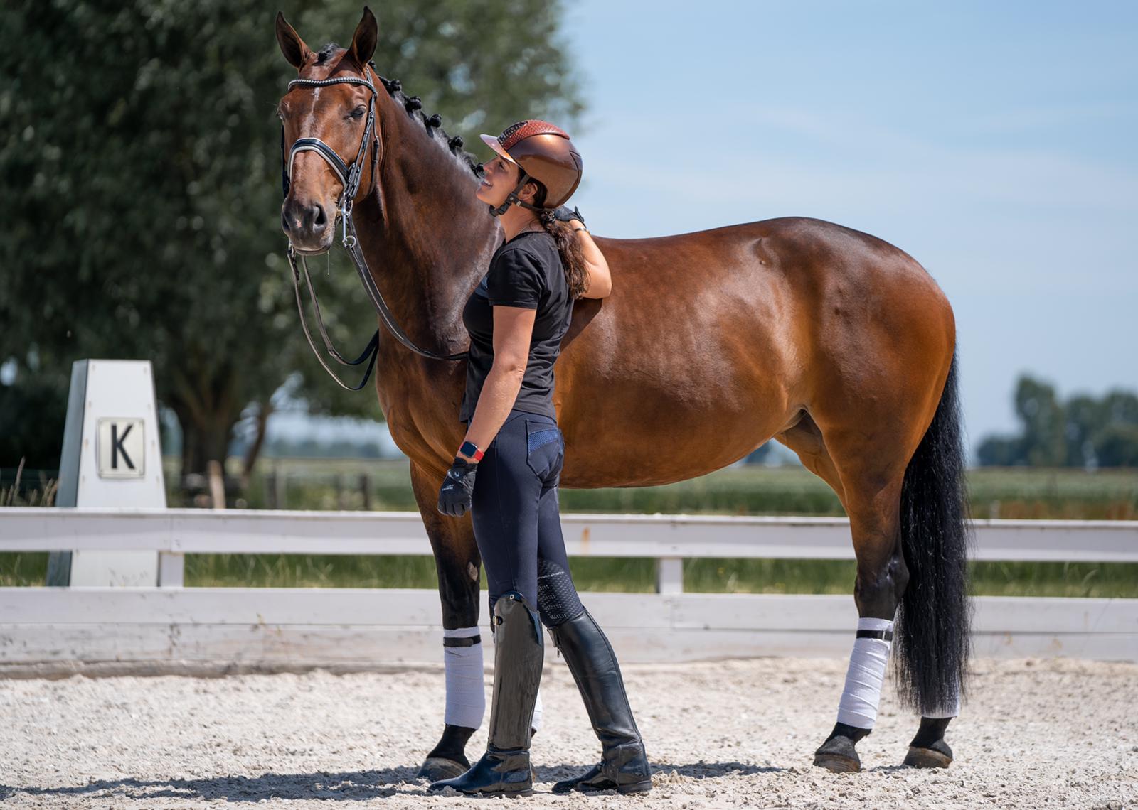 Latina Dancer - Dressage Horses International